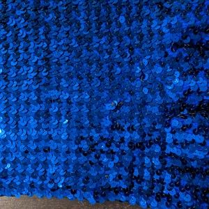 Unknown | Tops | Royal Blue Sequin Skirt Or Top Sm Burlesque Dancer ...